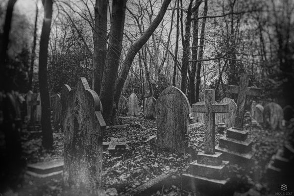 Witchcraft In The Graveyard | Photo Shoot – Nikki S. Colt